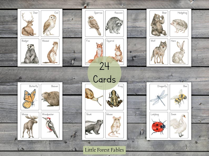 Forest Animals Printable Flashcards for Nature Units, Printable PDF ...