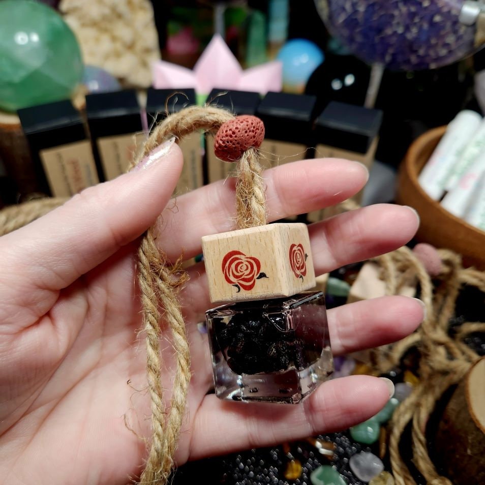 Plant & Gem Blends hanging Plant Diffusers W/gems - Etsy