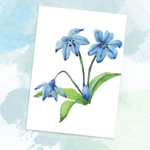Blue Wildflower Blank Note Cards Series1 (set of 7) - Etsy