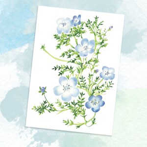 Blue Wildflower Blank Note Cards Series1 (set of 7) - Etsy