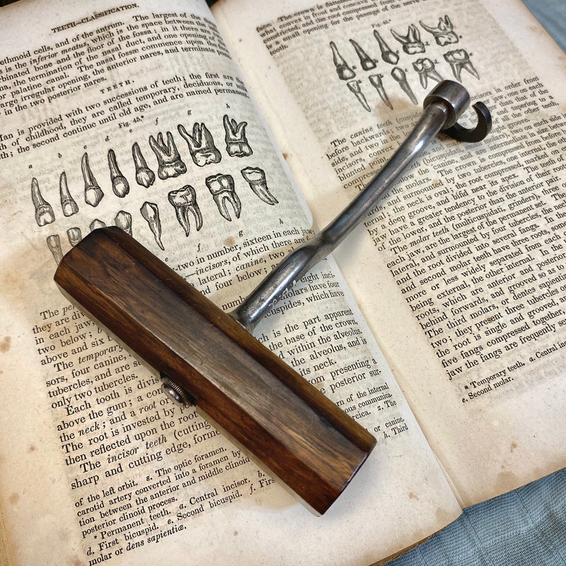 Antique Dental - Etsy