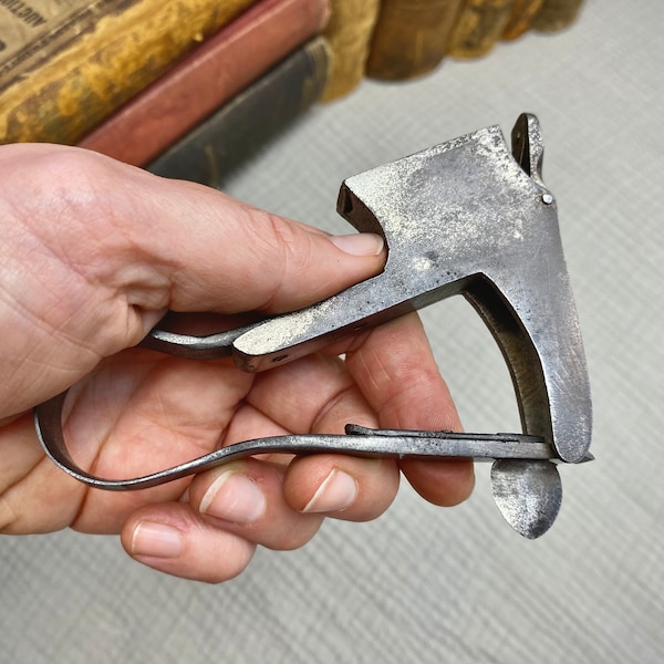 Antique Veterinary - Etsy