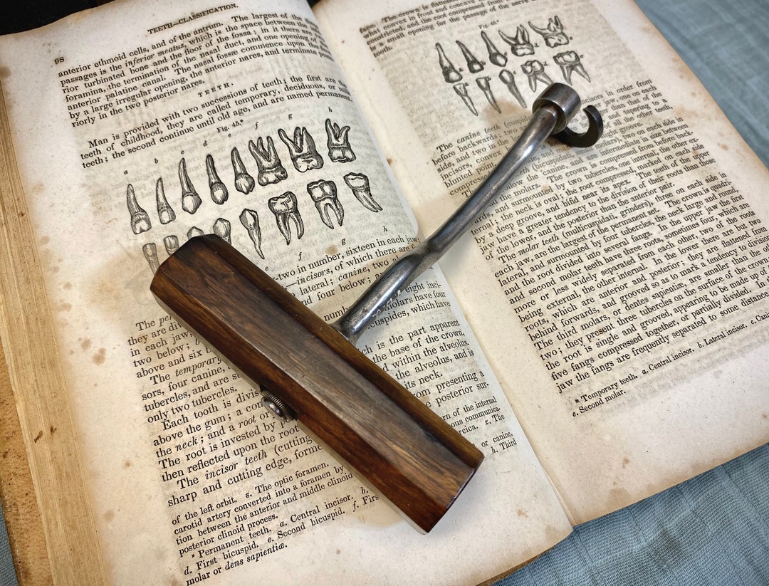 Tooth Key, Antique Dental Instrument, Tooth Extraction Tool, 19th ...