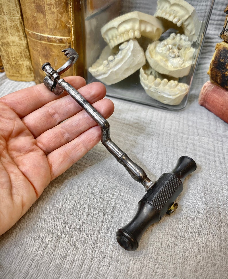 Tooth Key, Antique Tooth Extraction Tool, Crook Shaft, Ebony Handle ...