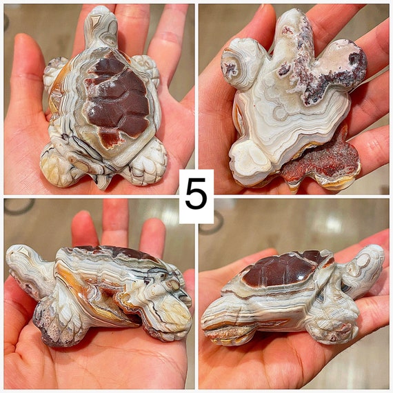 Mexican Lace Agate Turtles Crazy Lace Agate Turtles - Etsy