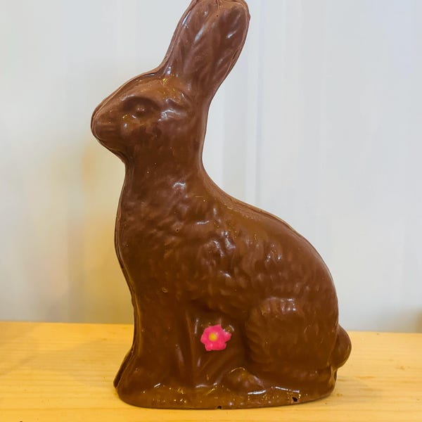 Chocolate Bunnies - Etsy