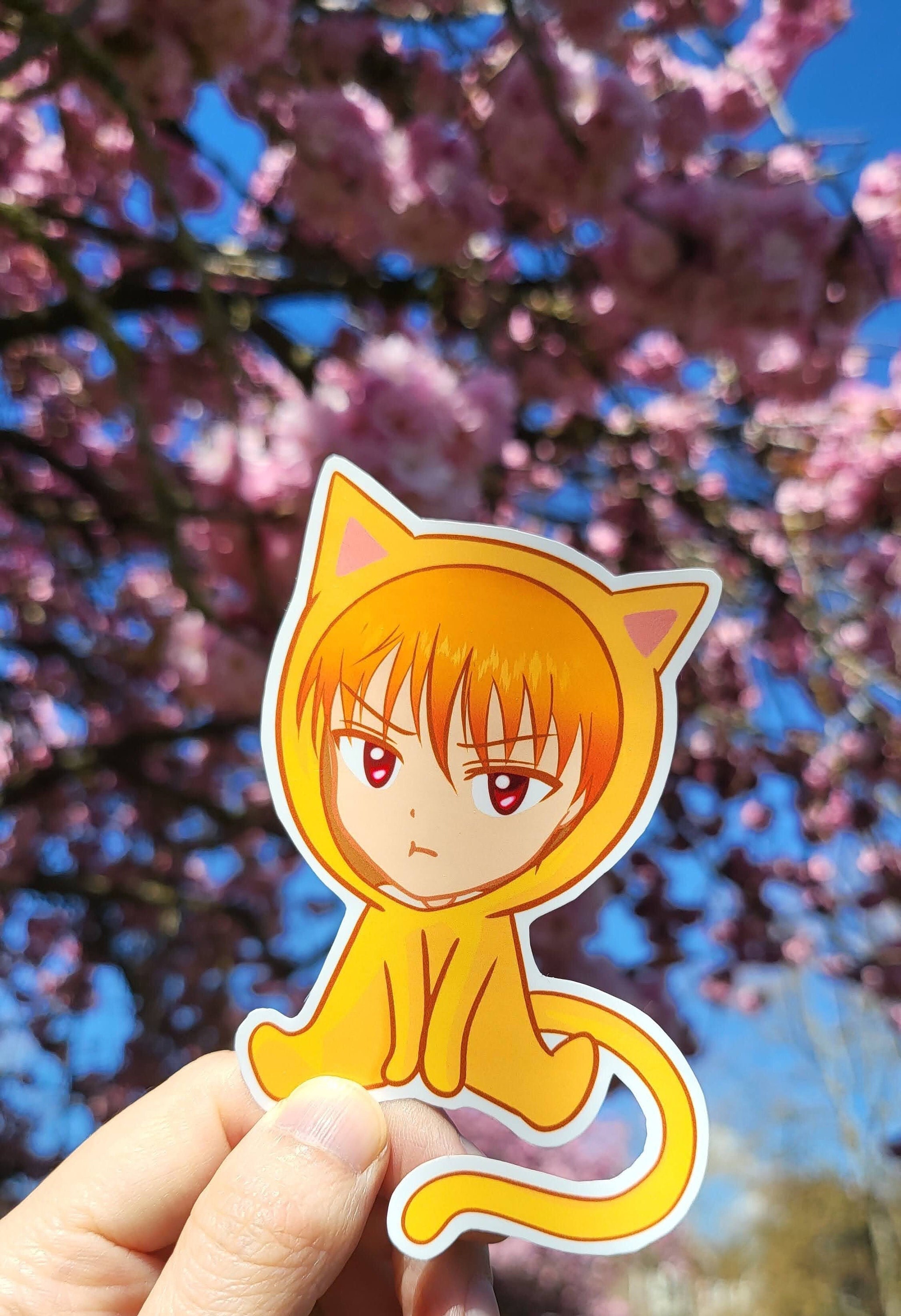 Fruits Basket Kyo And Yuki Animals