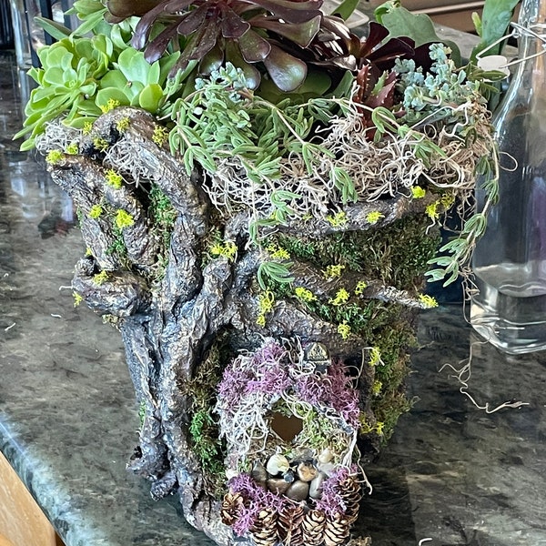 Fairy Garden Planter - Etsy