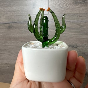 US Seller- Handmade Glass Potted Plants, Succulents, Artificial Cactus ...