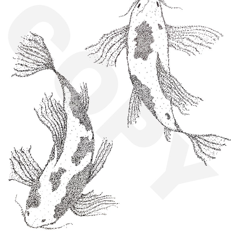 Coi Fish Wall Art - Etsy