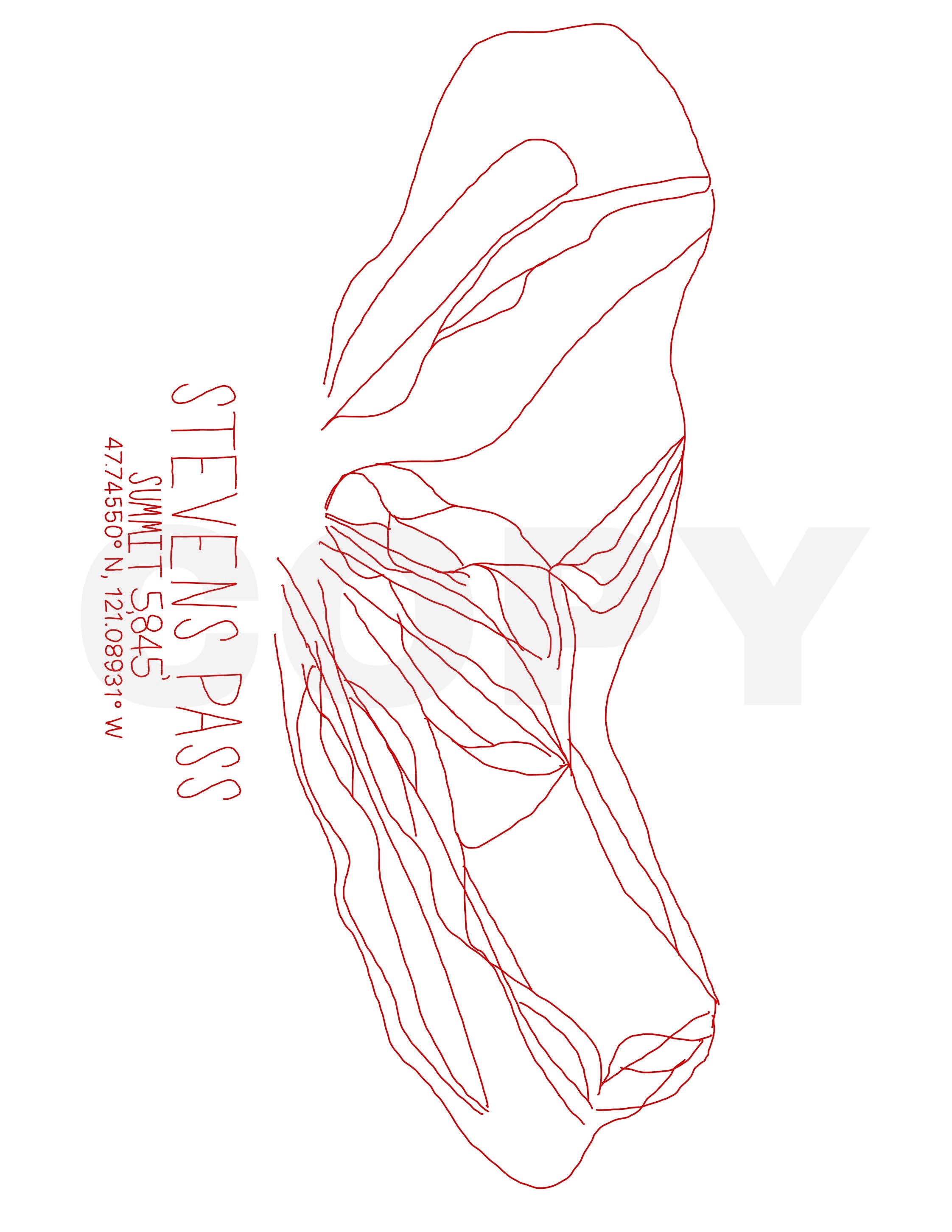 Stevens Pass Ski Map - Digital Download Art - Etsy