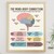 Maslow Before Bloom Poster, Therapy Office Decor, School Psychologist ...