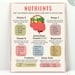 Nutrients That Help Manage Stress and Anxiety Poster, Mental Health ...