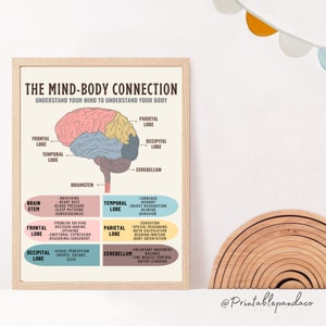 Brain Poster, Human Brain Anatomy, Mind Body Connection, Brain Wall Art ...