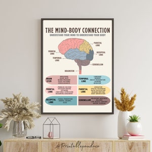 Brain Poster, Human Brain Anatomy, Mind Body Connection, Brain Wall Art ...