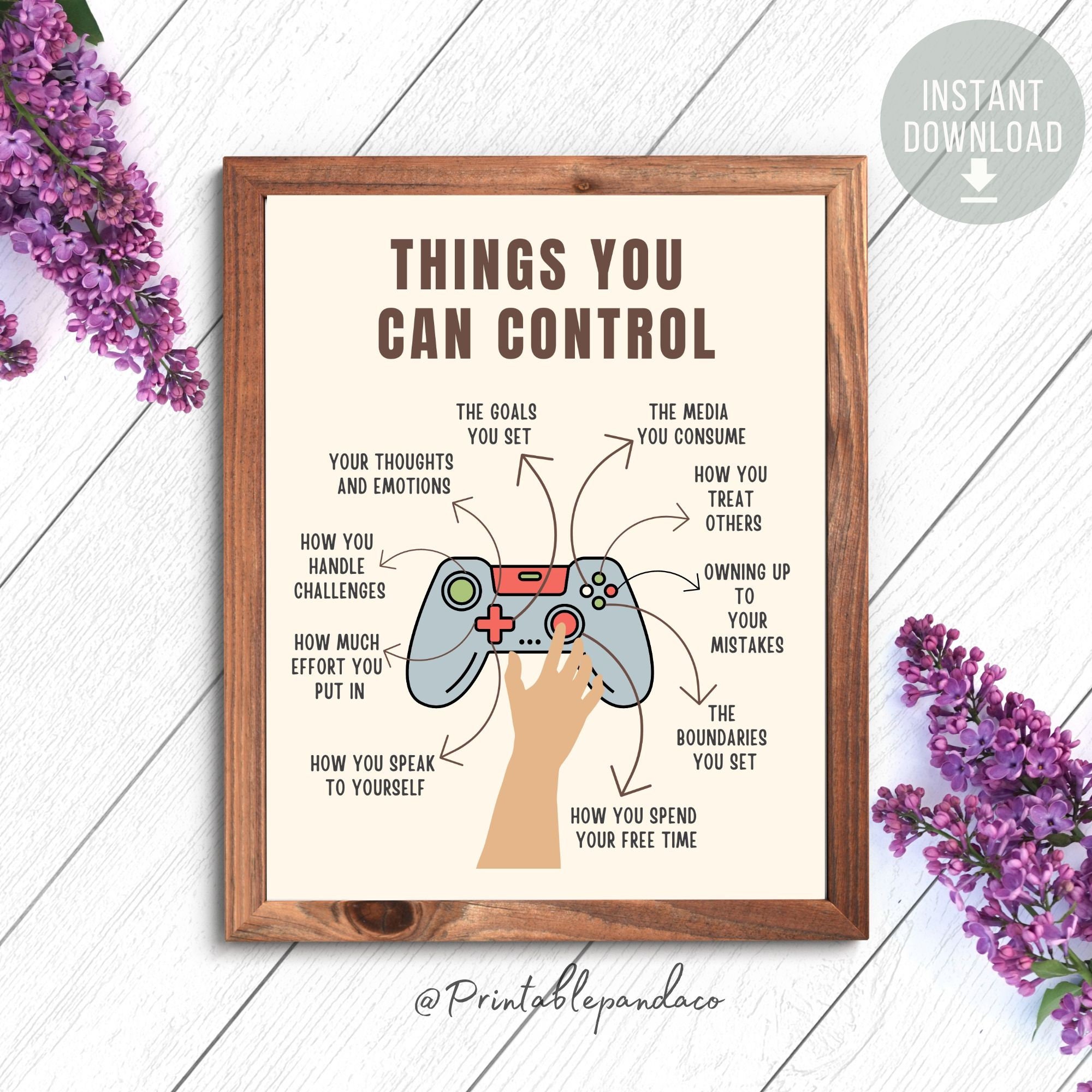 Things You Can Control Mental Health Poster, Therapy Office Decor, Calm ...