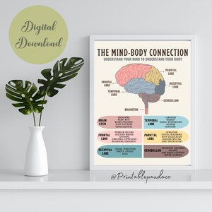 Brain Poster, Human Brain Anatomy, Mind Body Connection, Brain Wall Art ...