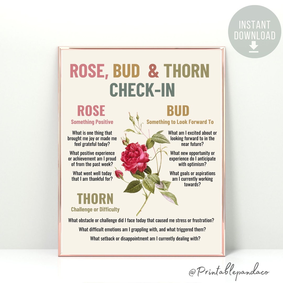 Rose Bud and Thorn Mental Health Check in Poster, Daily Checklist ...
