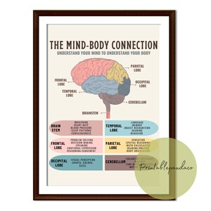 Brain Poster, Human Brain Anatomy, Mind Body Connection, Brain Wall Art ...