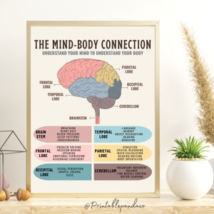 Brain Poster, Human Brain Anatomy, Mind Body Connection, Brain Wall Art ...