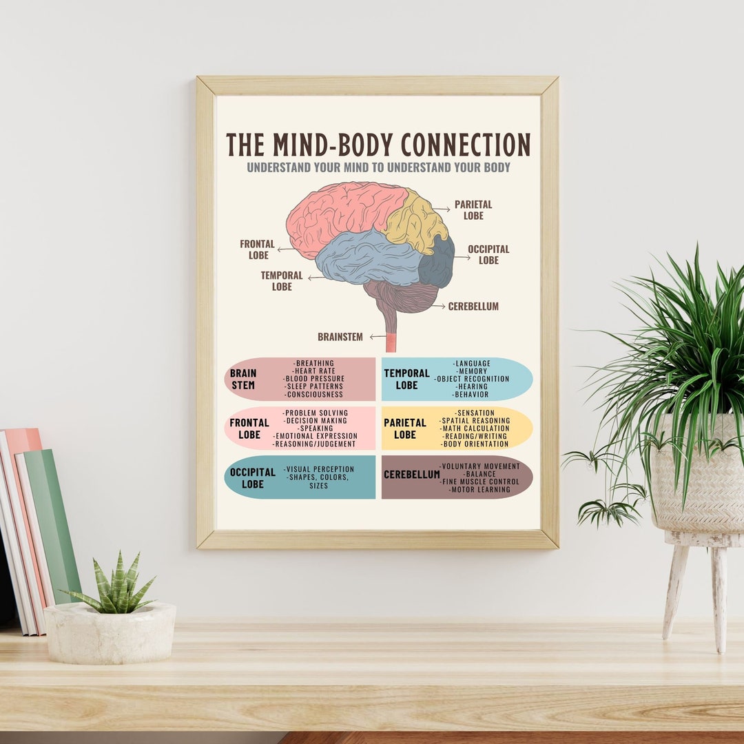 Brain Poster, Human Brain Anatomy, Mind Body Connection, Brain Wall Art ...