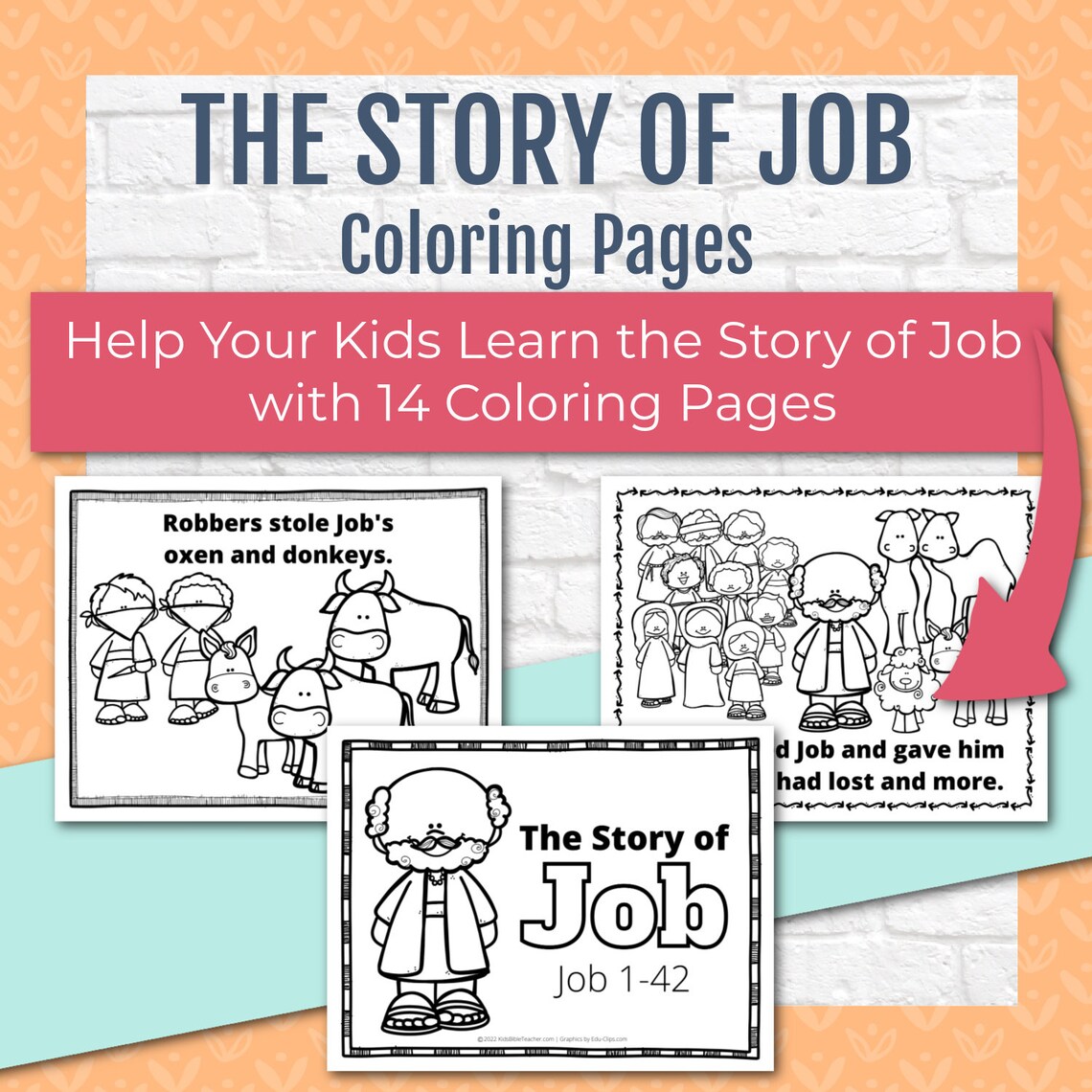 Story of Job Complete Lesson Pack, Homeschool Sunday School Teacher ...