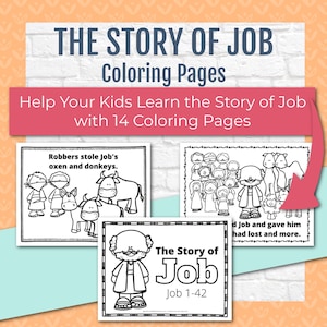 Story of Job Complete Lesson Pack, Homeschool Sunday School Teacher ...