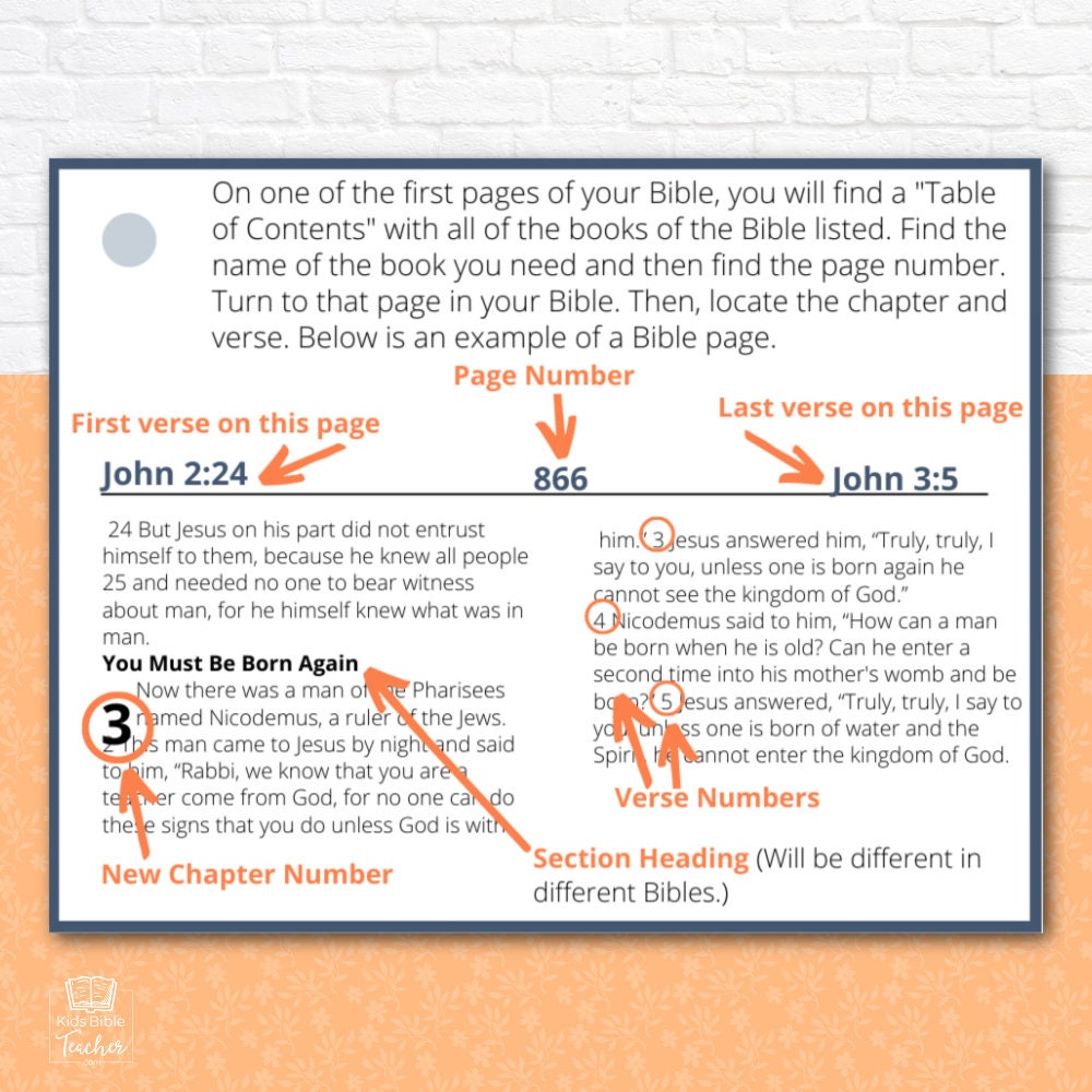 New Testament Books of the Bible Kids Fact Cards, Bible Verse Learning ...