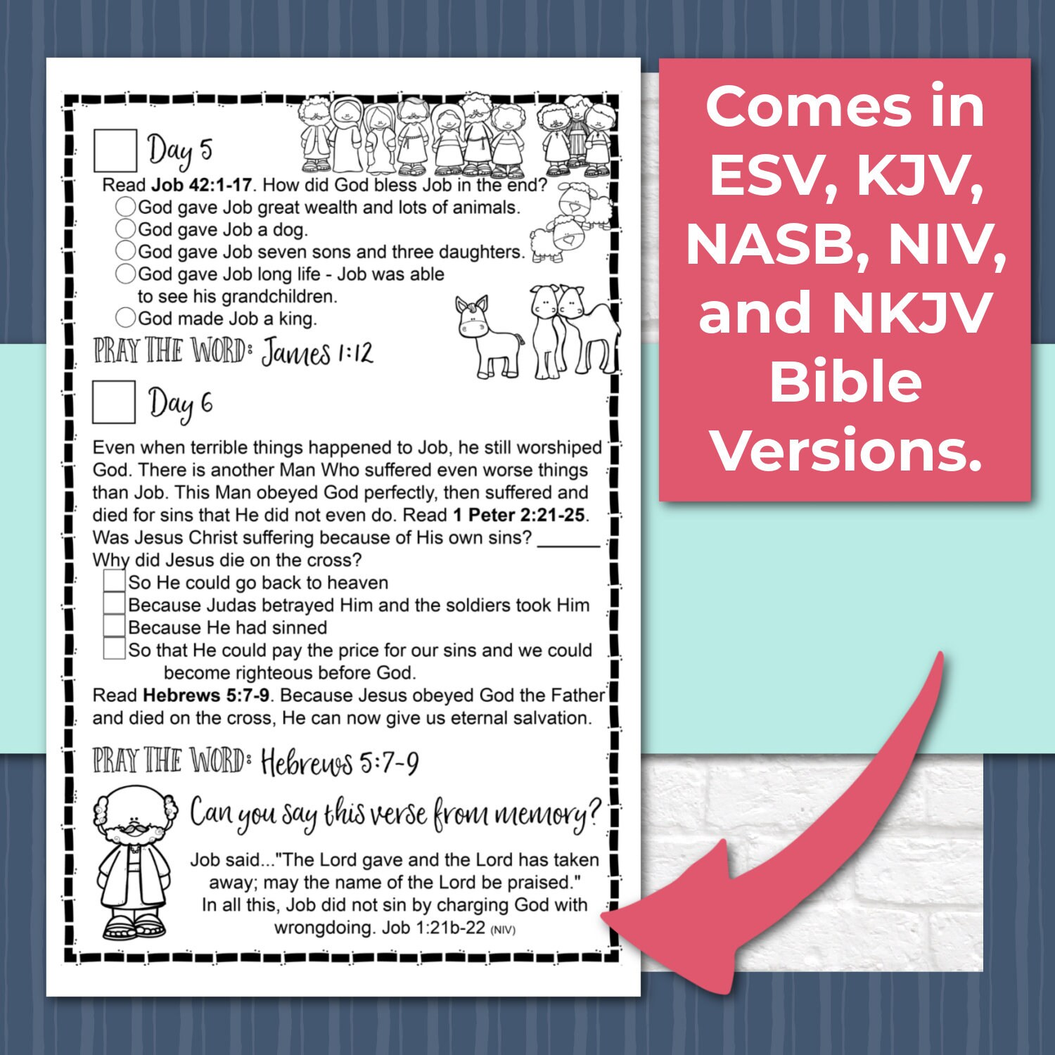 Job Bible Reading Plan, Story of Job Bible Lesson, Christian Homeschool ...