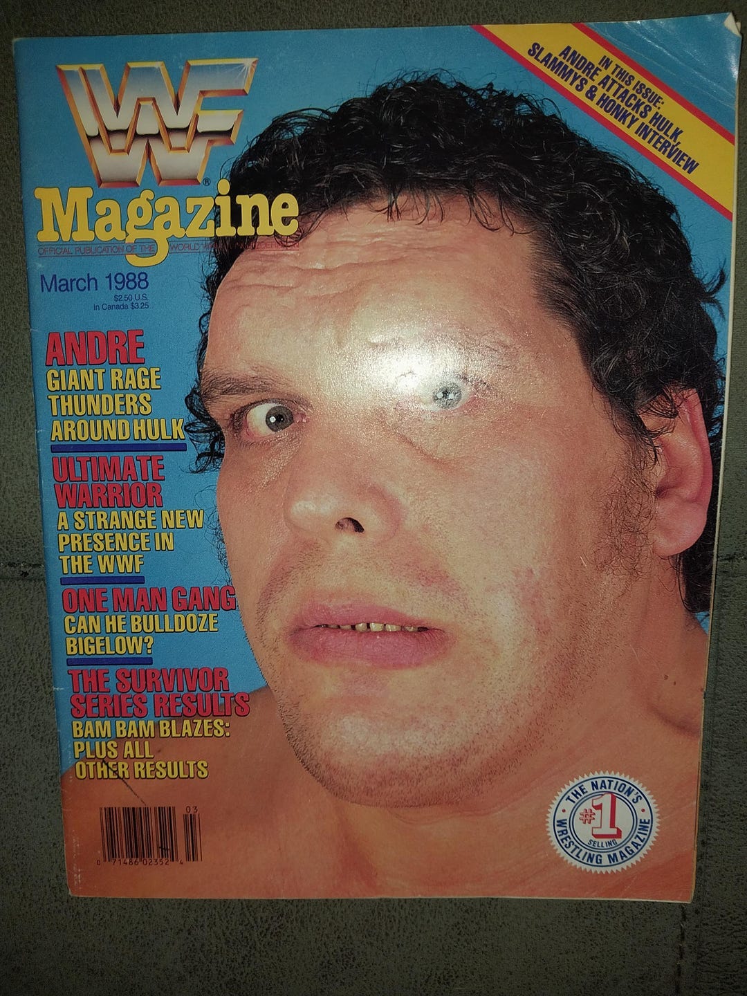 WWF MAGAZINE 1988 - Etsy