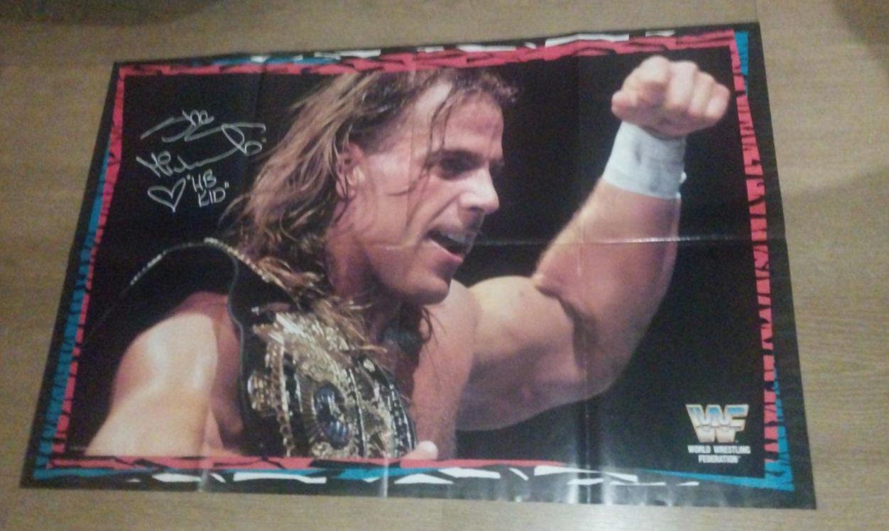 Vintage 1996 Sunny and HBK Shawn Michaels Double Sided Poster Wrestling ...