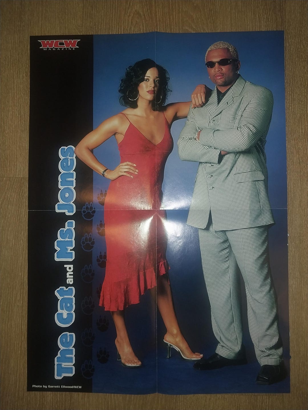 WCW Poster - Etsy