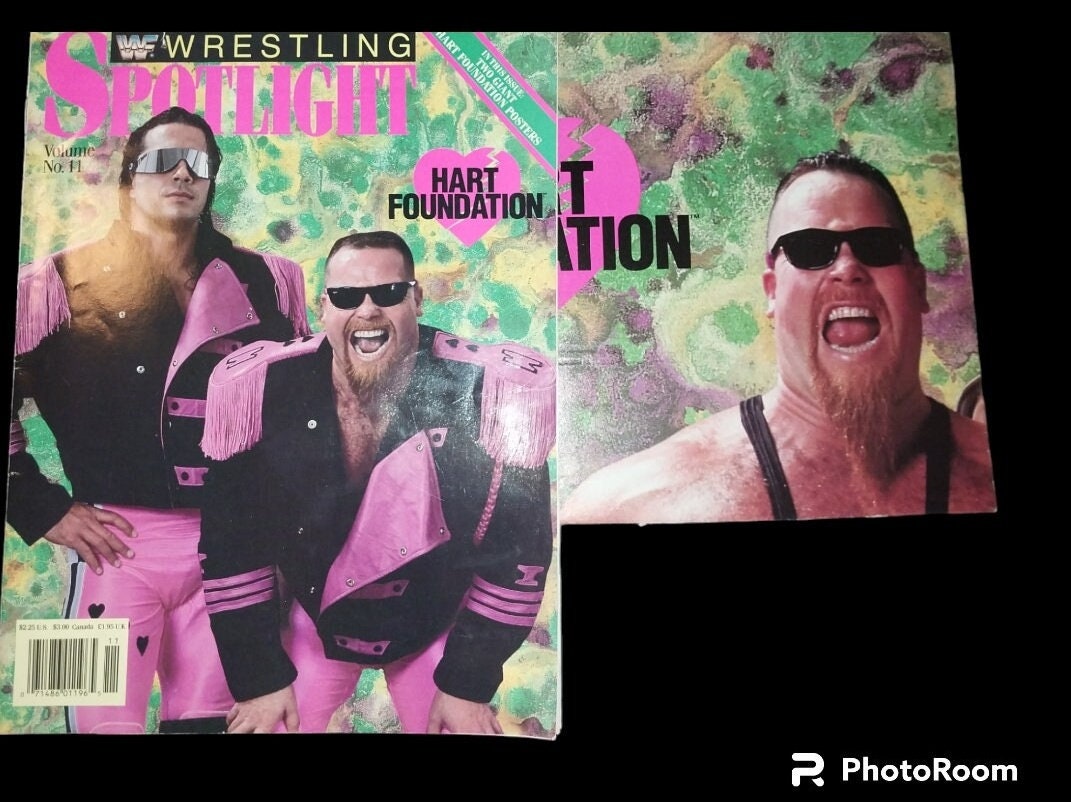 1993 Wwf Magazines - Etsy