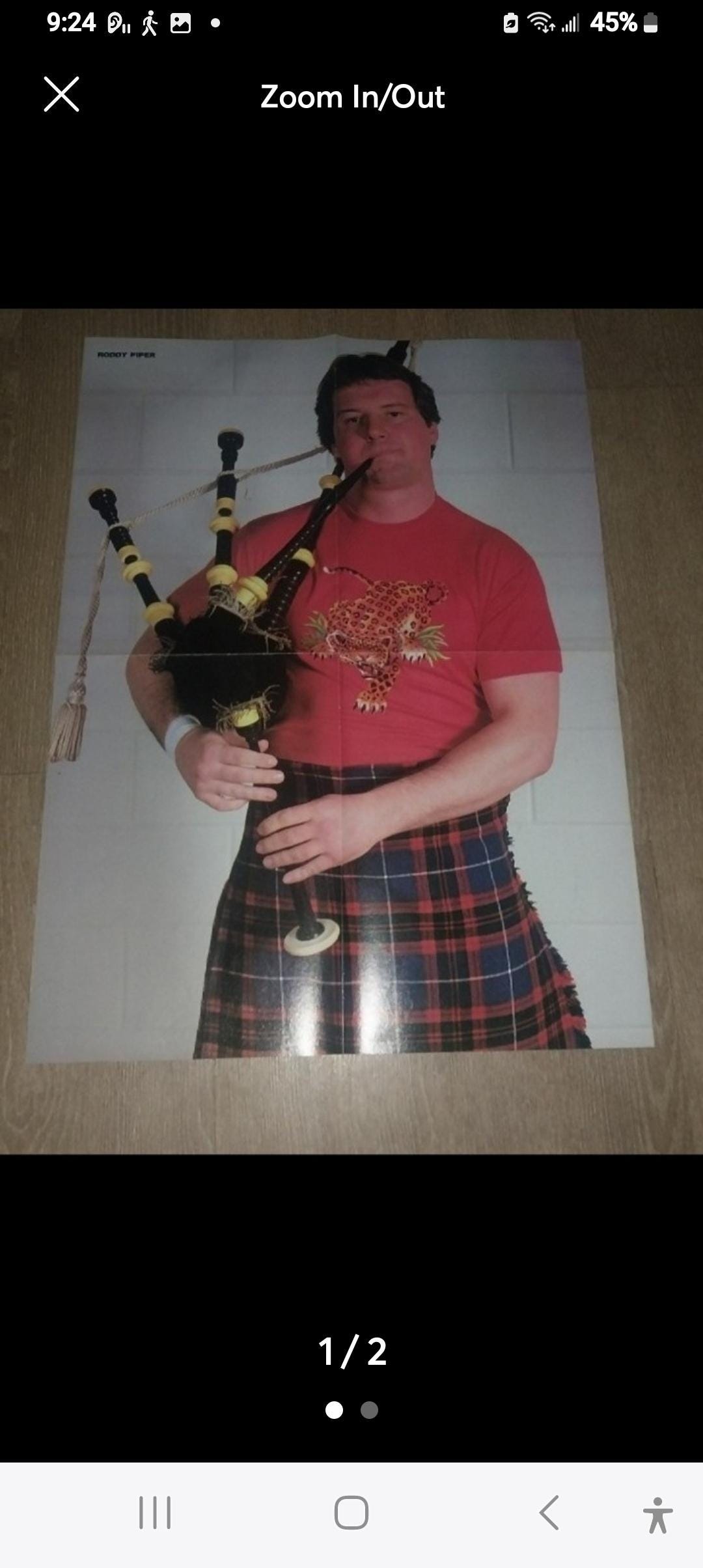 Rowdy Roddy Piper Double-sided Poster Terry Funk - Etsy
