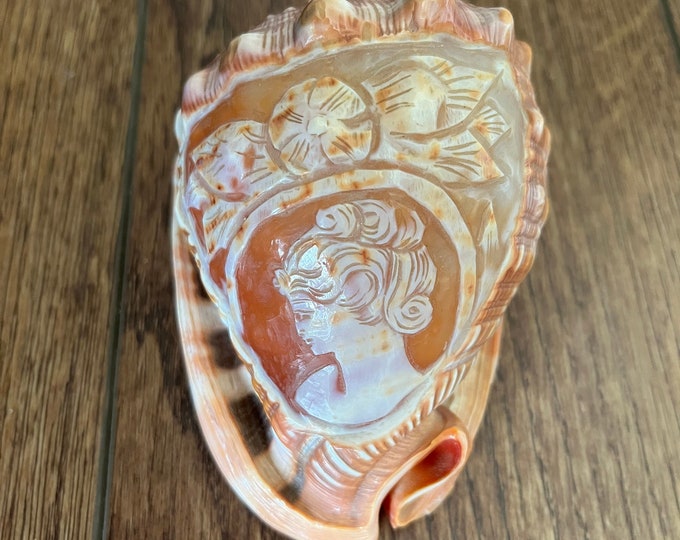 Large Hand Carved Cameo Conch Shell - Etsy