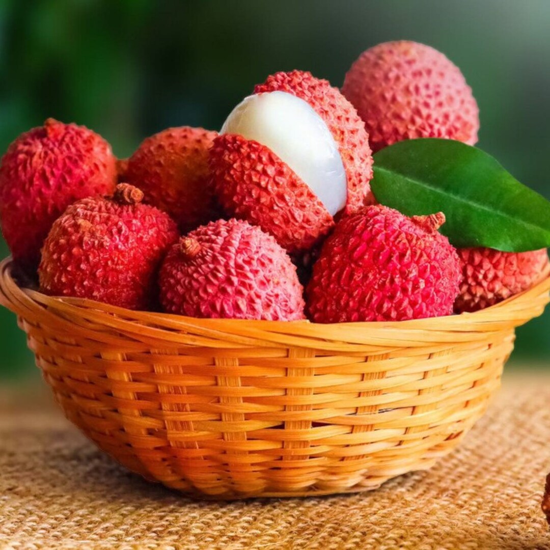 10pcs Lychee Tropical Fruit Heirloom Seeds - Non-gmo Litchi Seed for ...