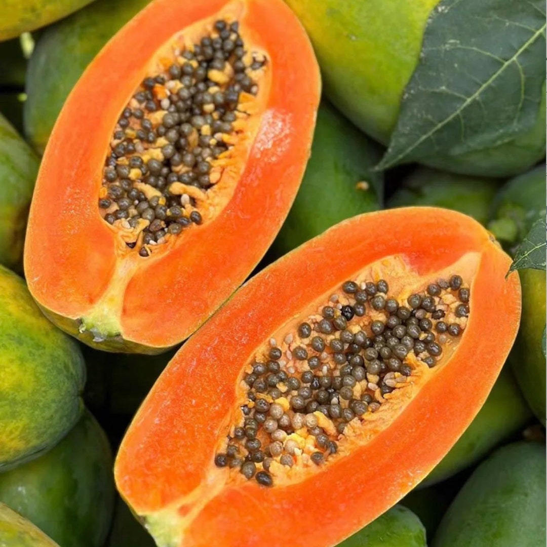 50pcs Red Heart Creamy Papaya Seeds - the Best of Papayas for Your Home ...