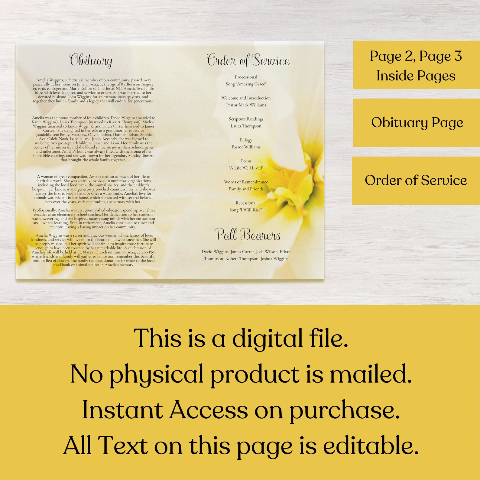 Editable Funeral Program Template for Remembrance Events - Rejoicing In ...