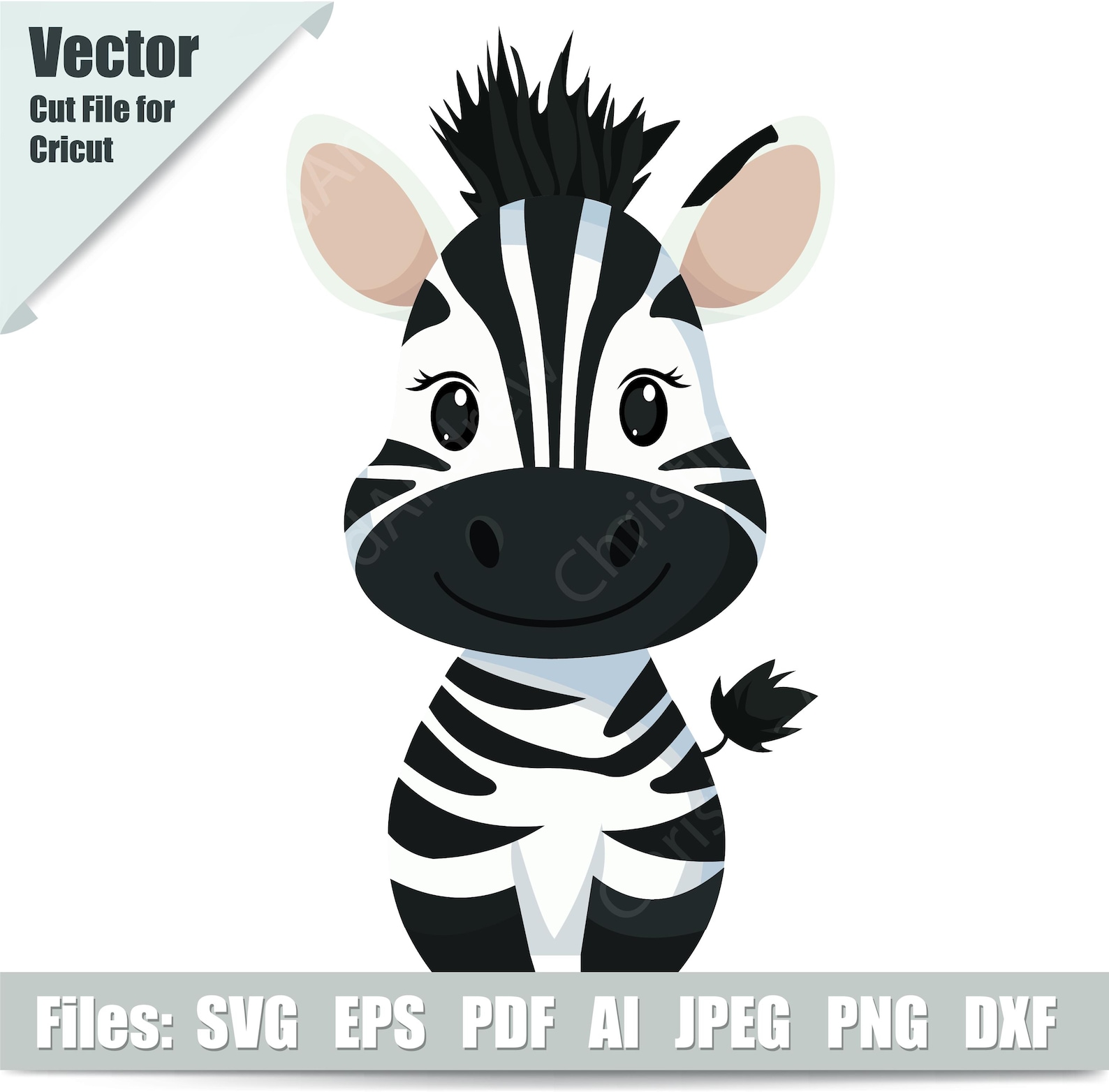 Zebra Svg File, Cute Baby Zebra, Zebra PNG Digital File - Etsy