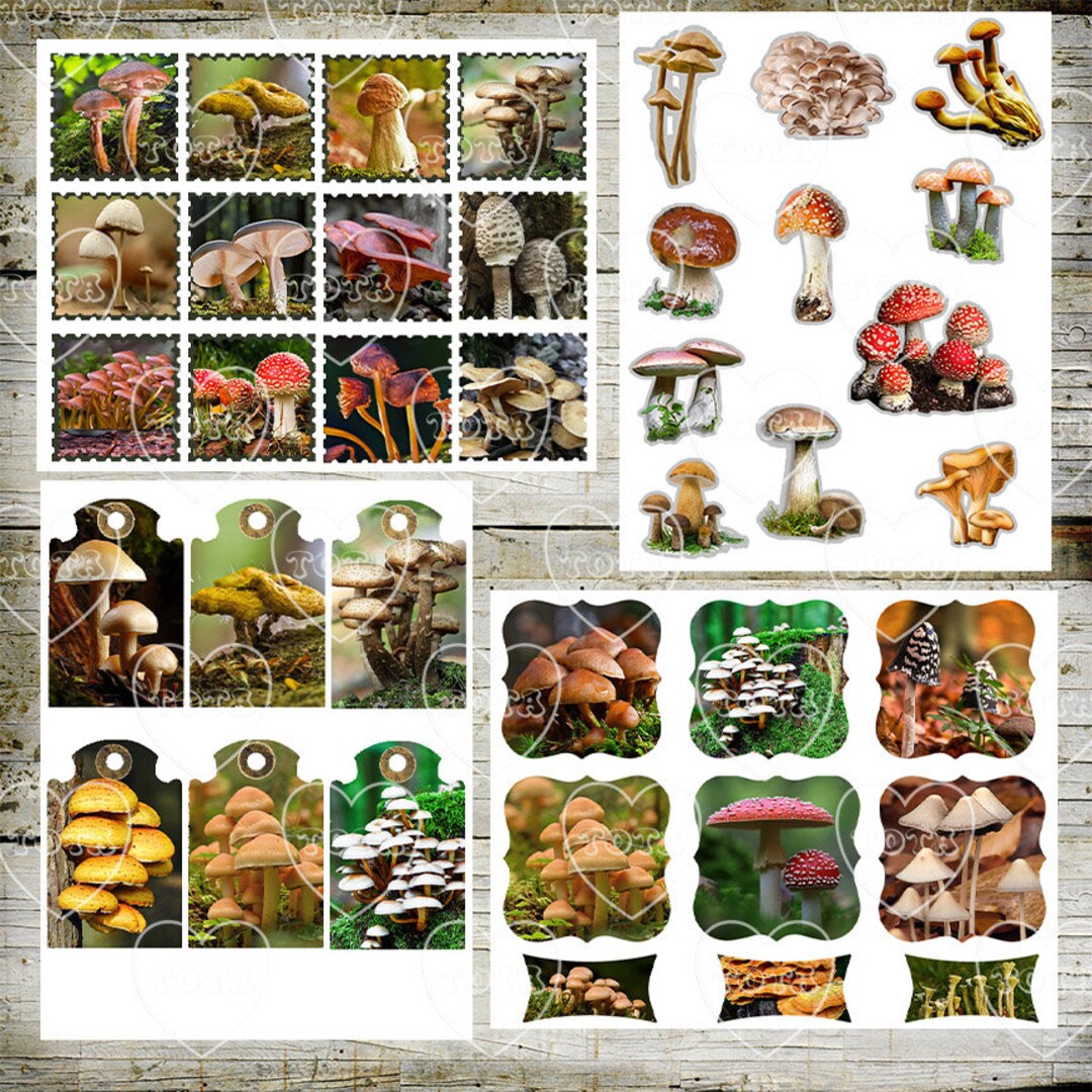 Printable Mushrooms Toadstool And Mushroom Ephemera Junk Etsy