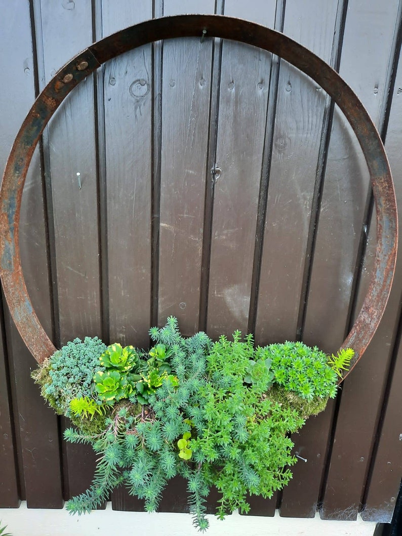 UK 5x 10x Whisky Hoop Whiskey Barrel Metal Ring for Making - Etsy