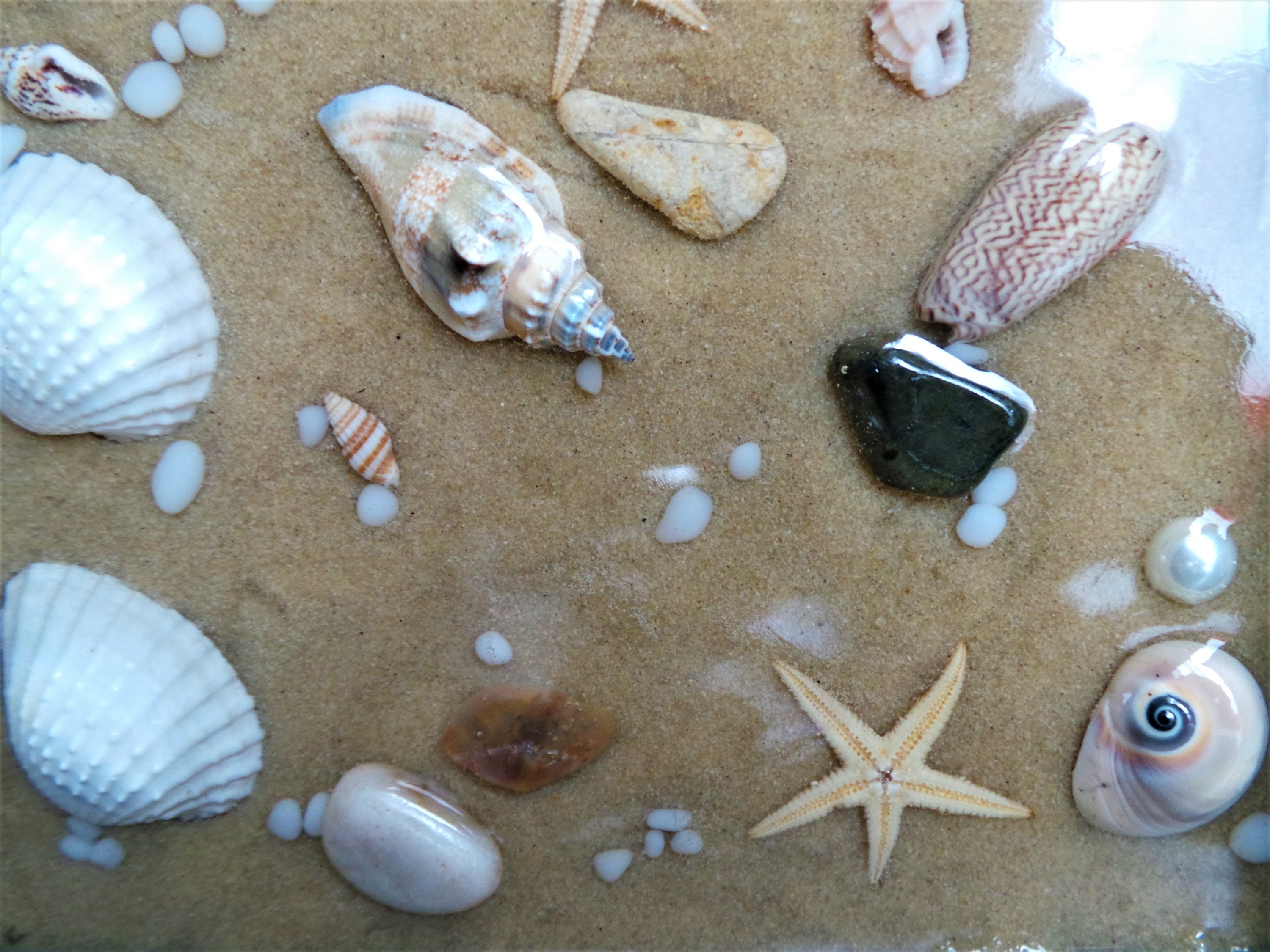 Picture Frame Sand & Shells Framed Picture Grey - Etsy