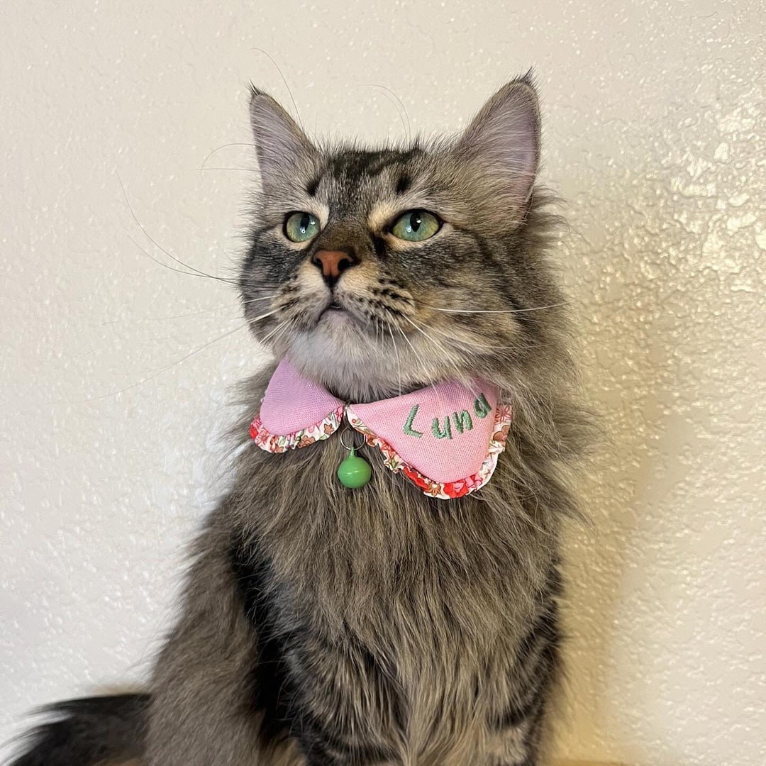 Cute Pink Cat Collar | Customizable Embroidered Shirt Cat Collar ...