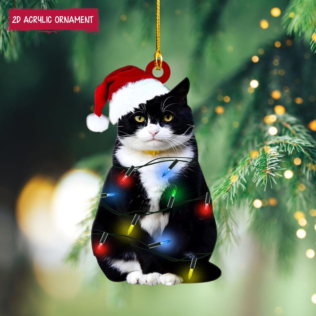 Funny Black Cat Christmas Ornament, Personalized Cat Name Tree ...