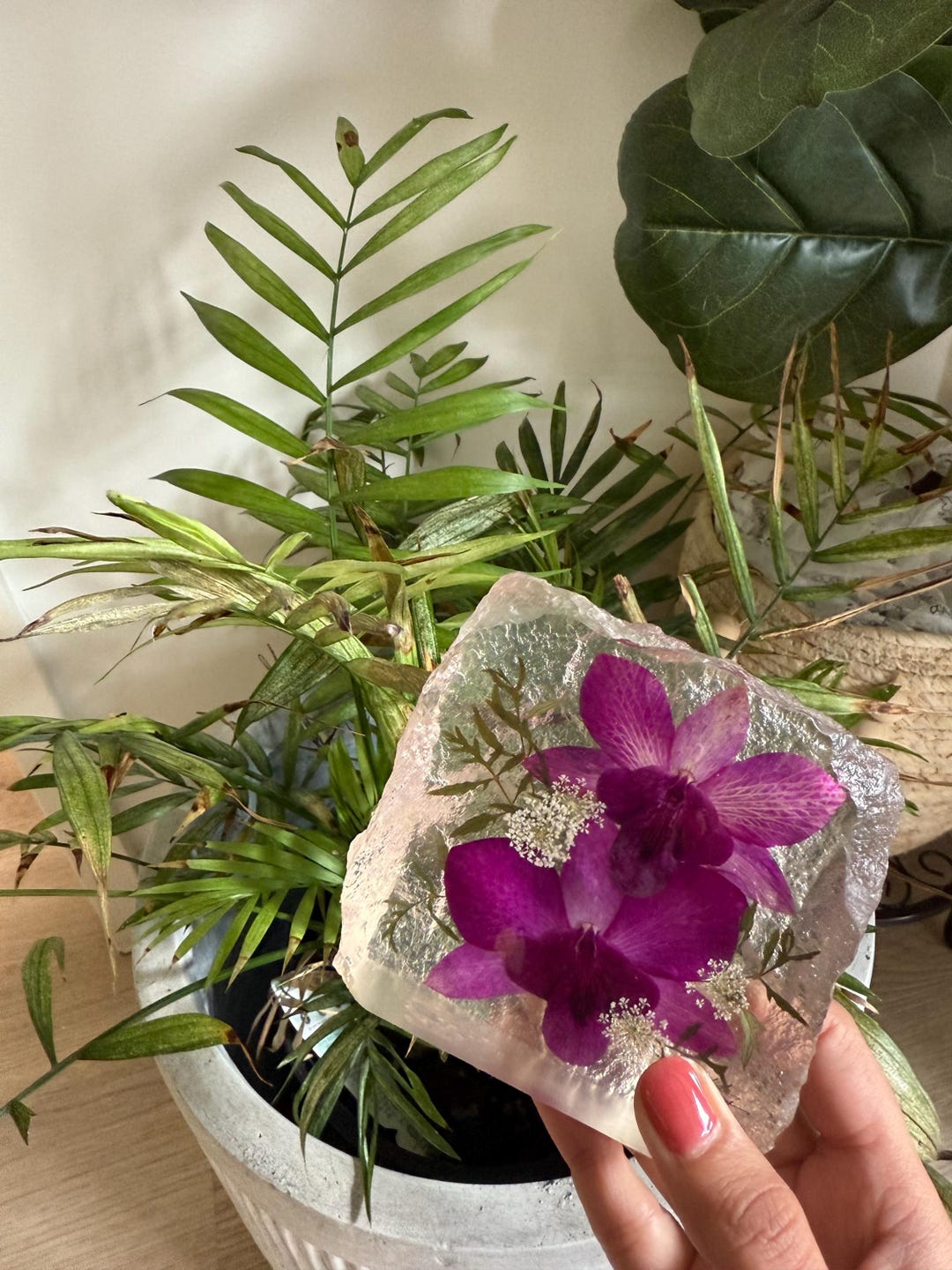 Orchids Pressed in Resin - Etsy
