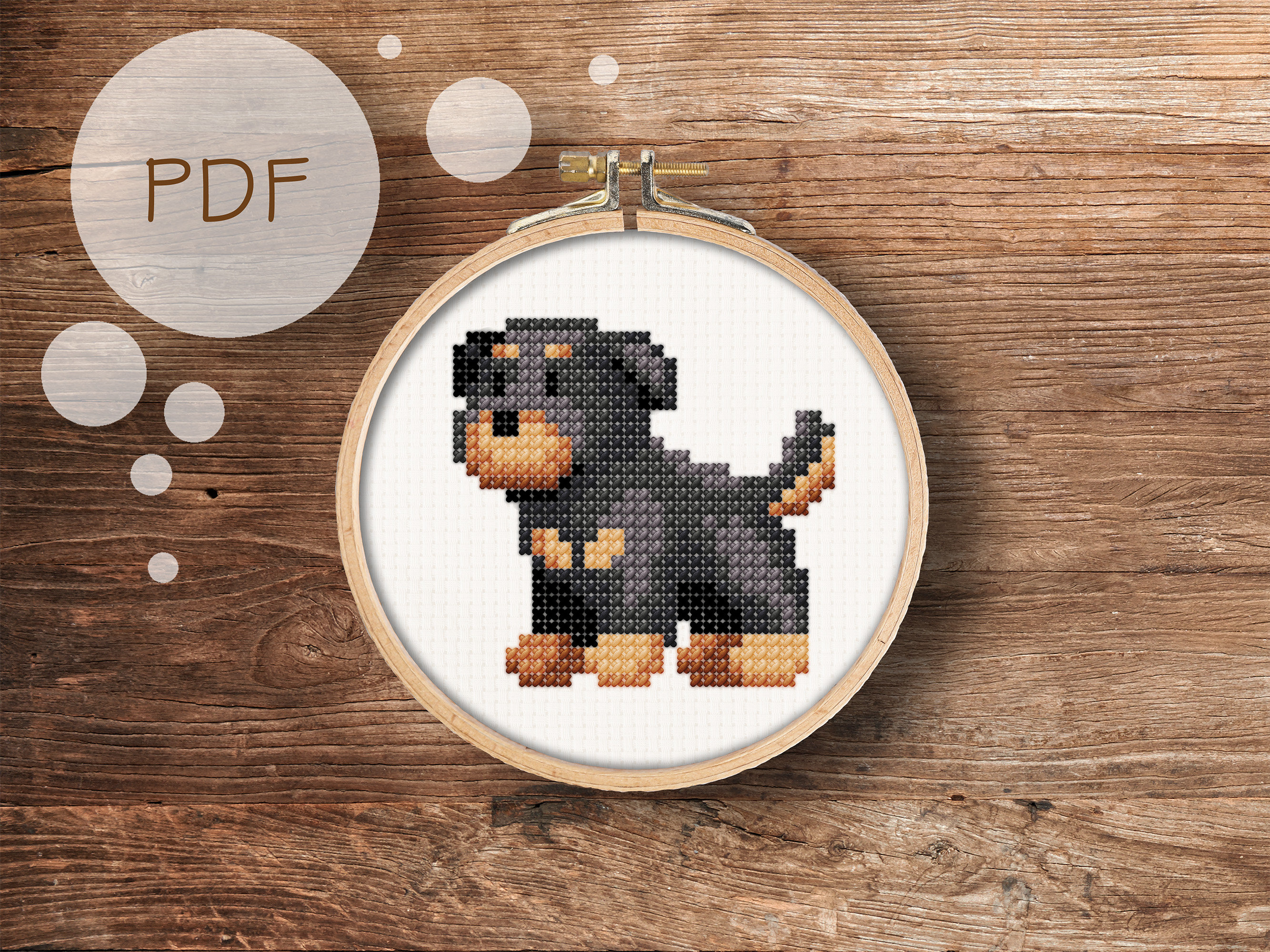 Rottweiler Schnauzer Cross