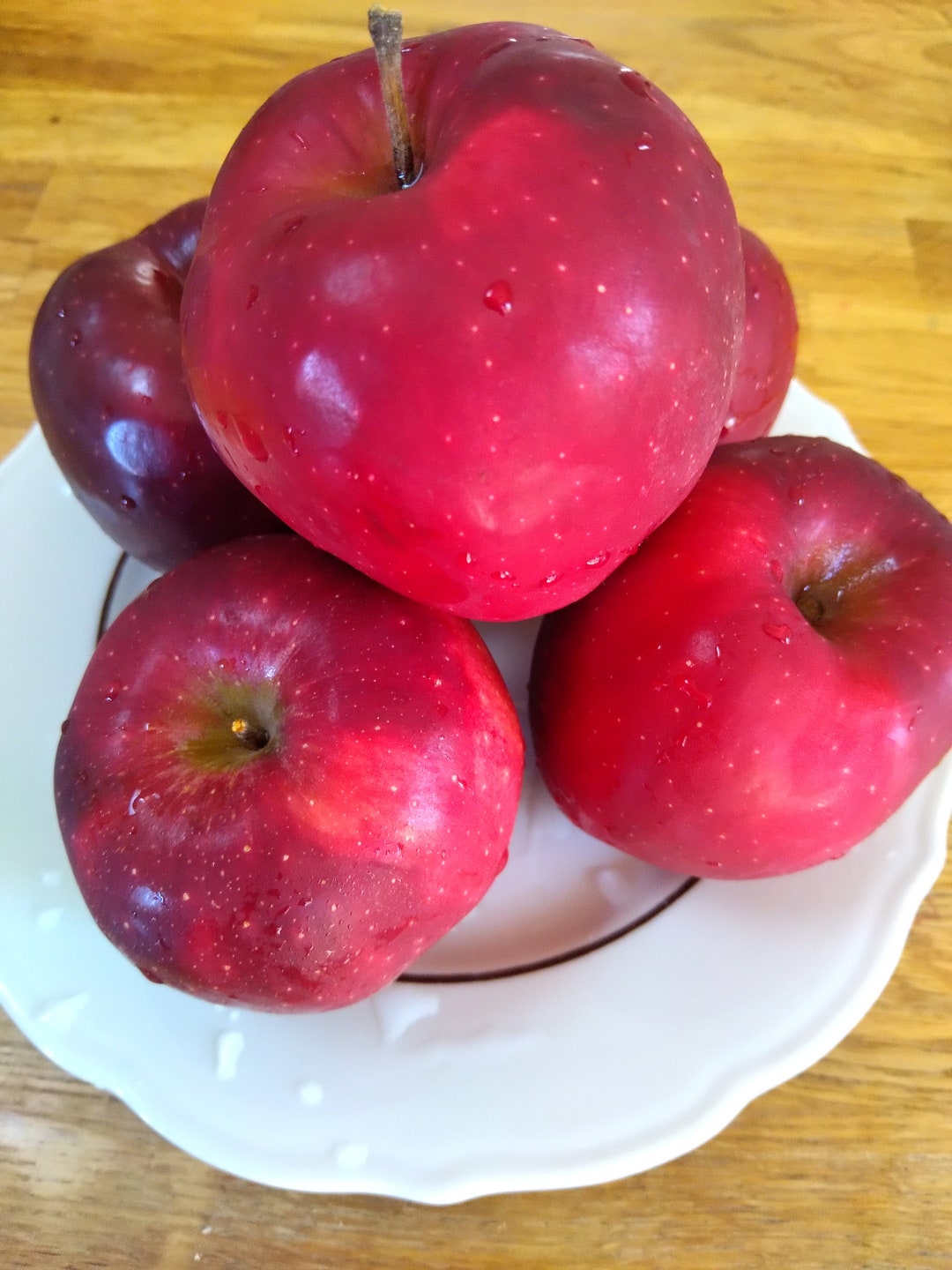 25 Red Delicious Apple Seed, New, Usa Seller - Etsy