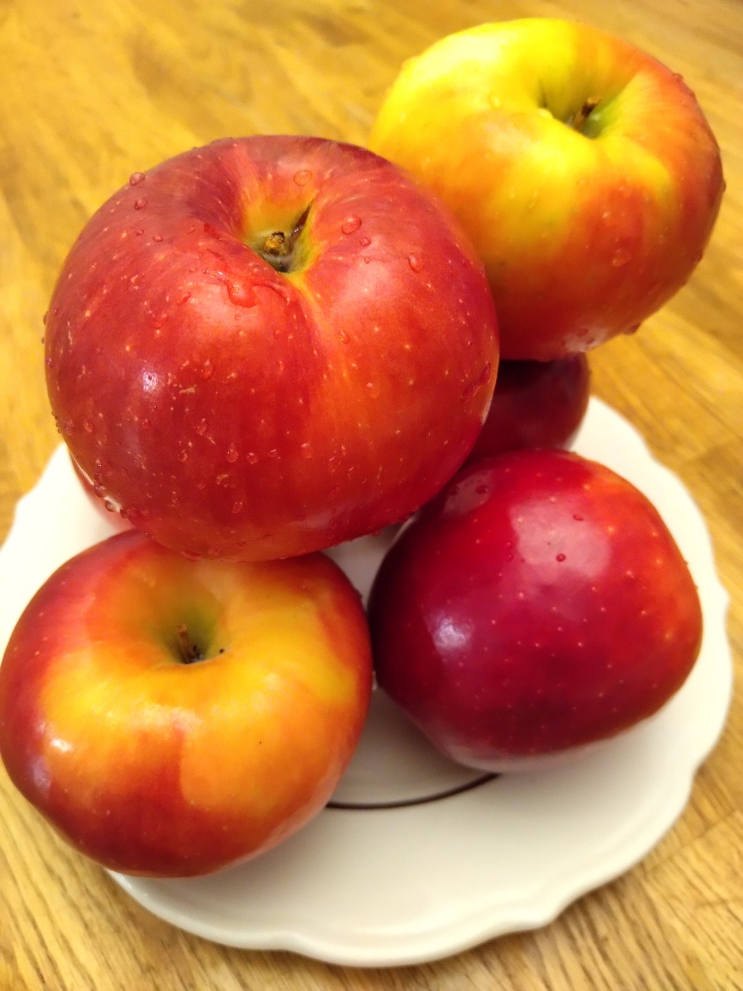 25 Sugar Bee Apple Seed, New , USA Seller - Etsy