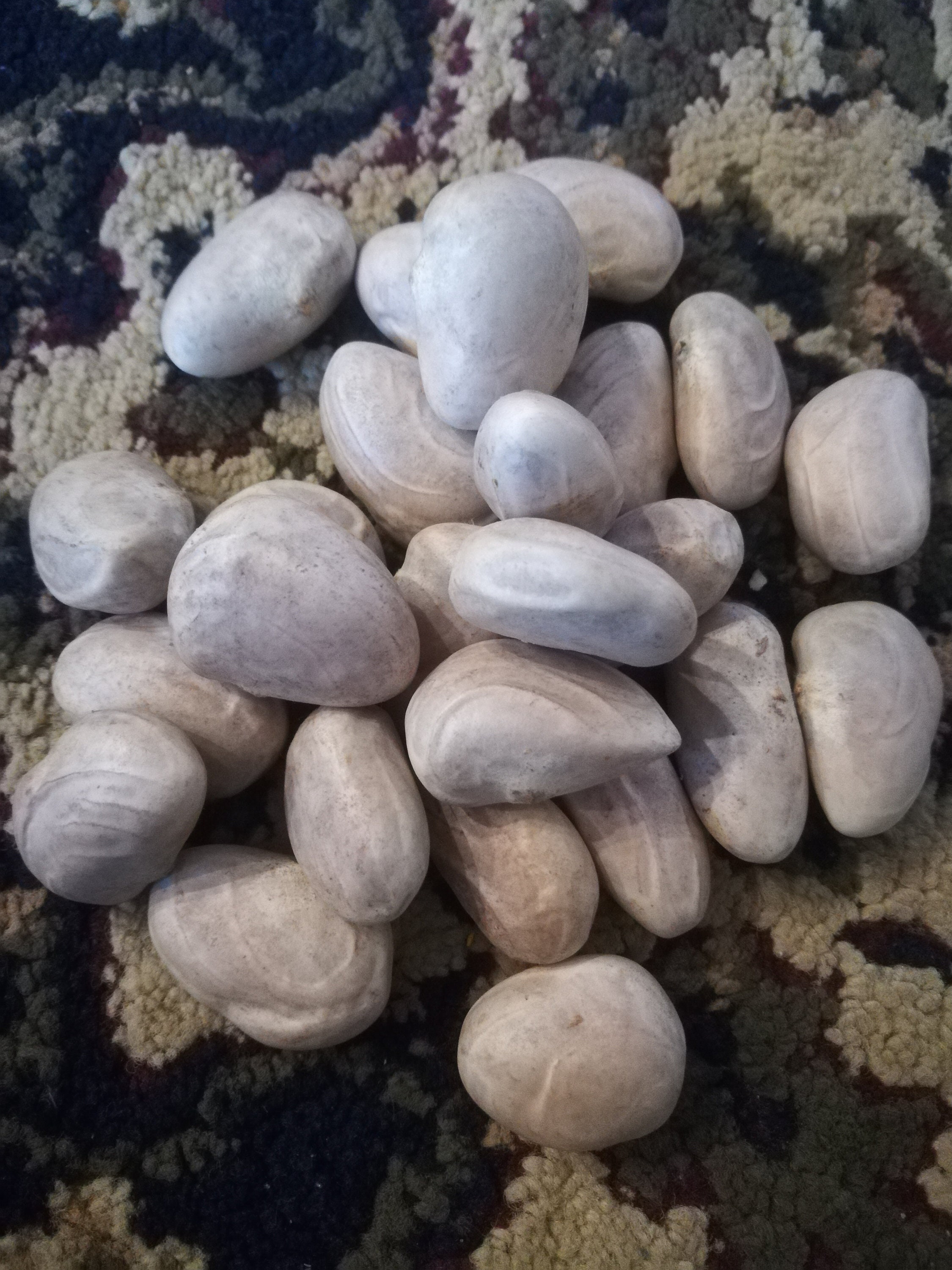 10 Sweet Jack Fruit Seeds. - Etsy