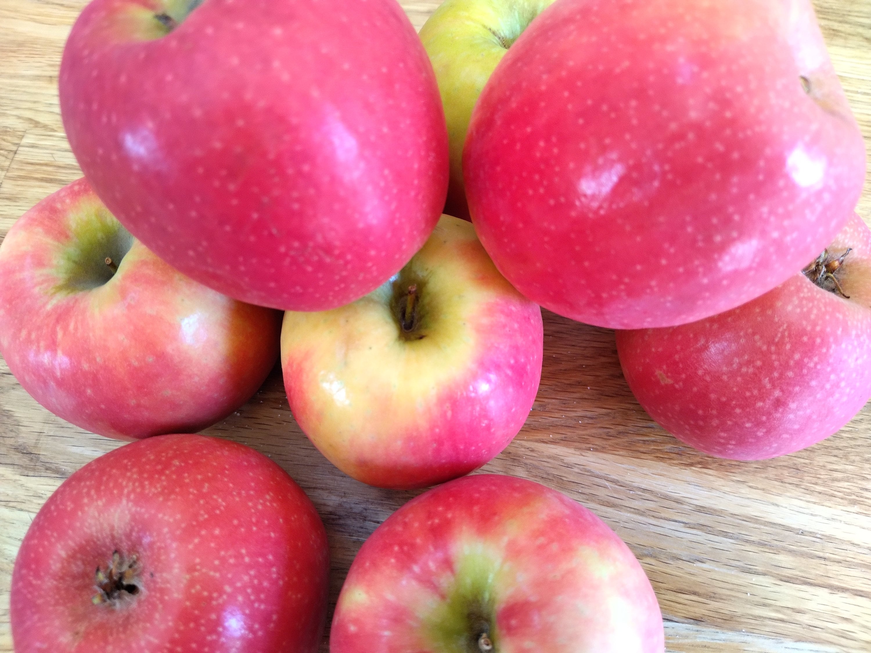 25 Pink Lady Apple Seeds, Sweet and Tart,new USA - Etsy